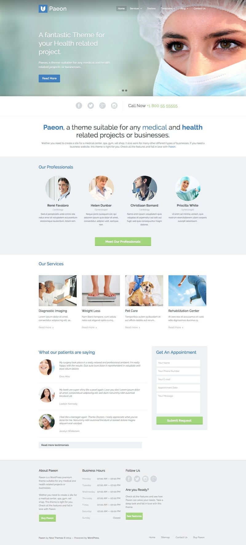Paeon Medical WordPress Theme | Themes Directory