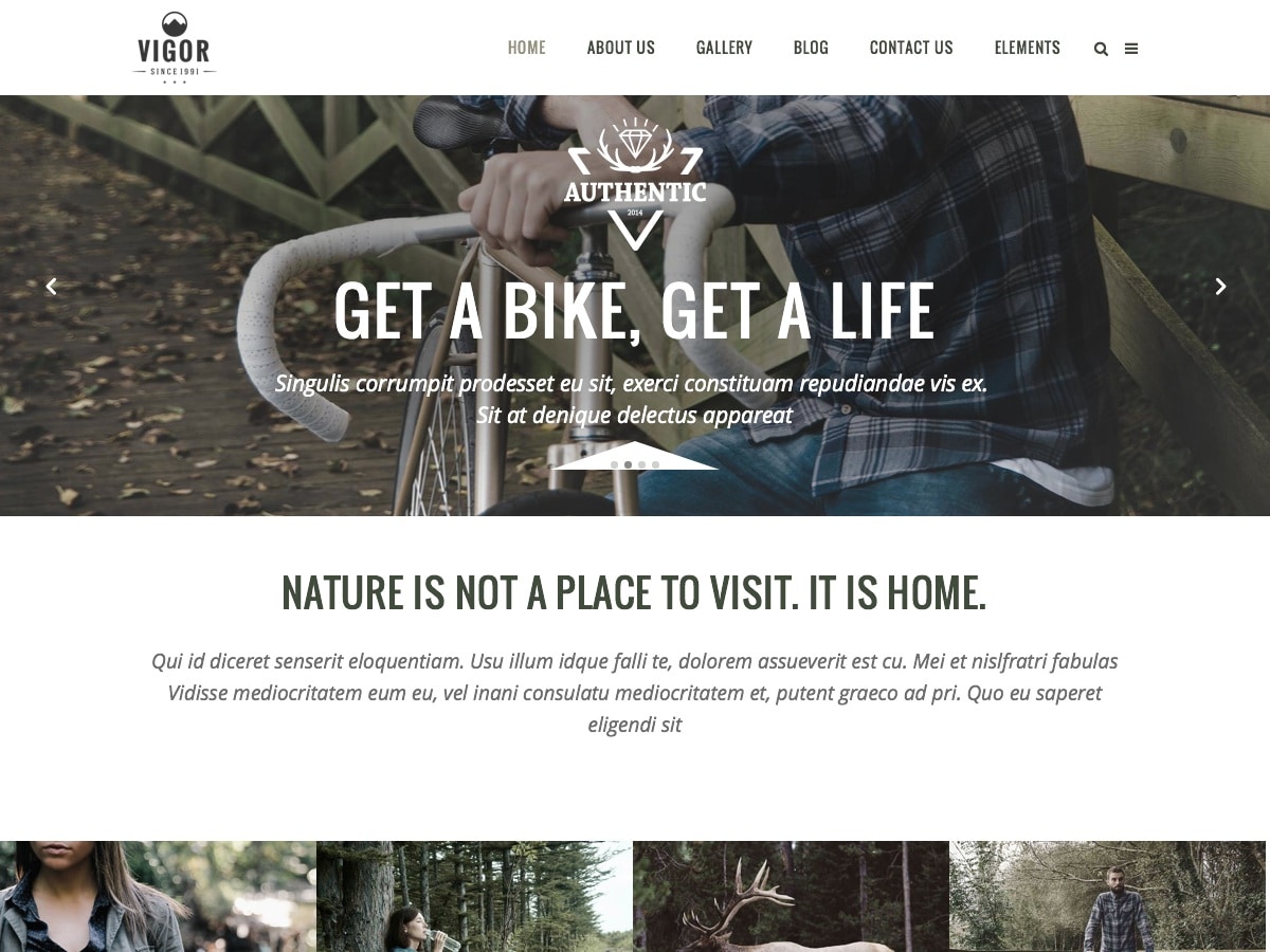 Vigor Vintage WordPress Theme | Themes Directory