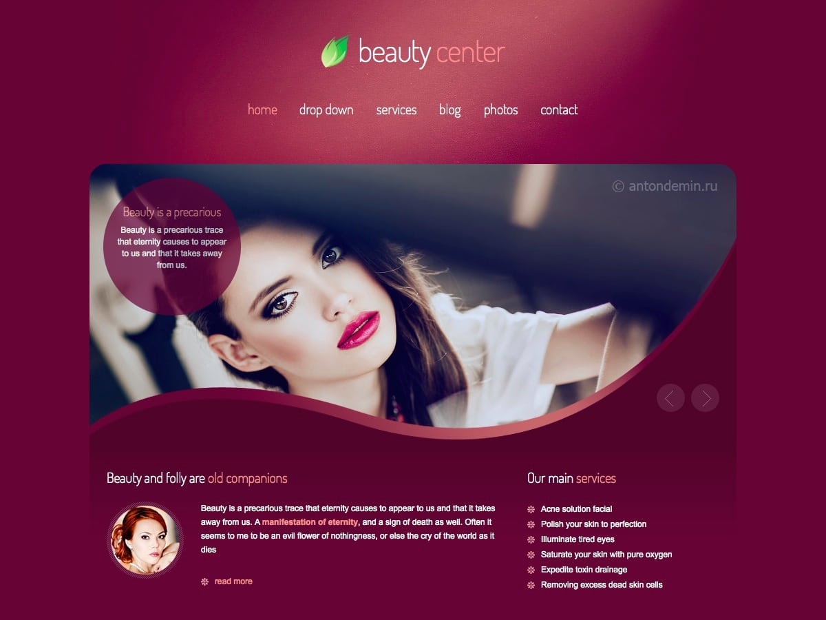 Beauty Center - Business Health WordPress Theme | WordPress Themes ...
